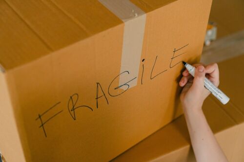 Personalized Moving & Shipping Solutions | TSI Shipping